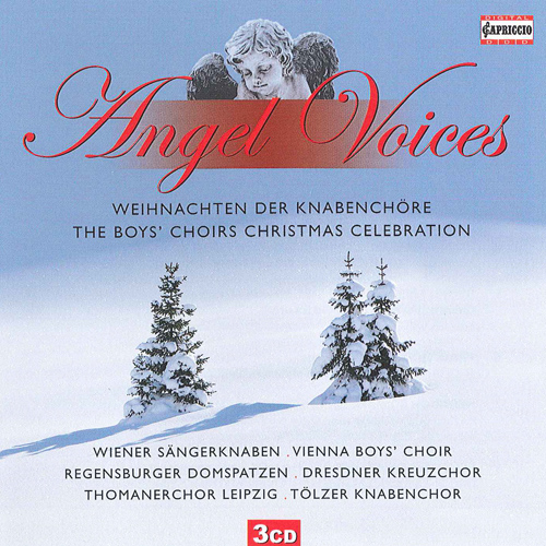 ANGEL VOICES - The Boys' Choirs Christmas Celebrat.. - C7069 | Discover ...